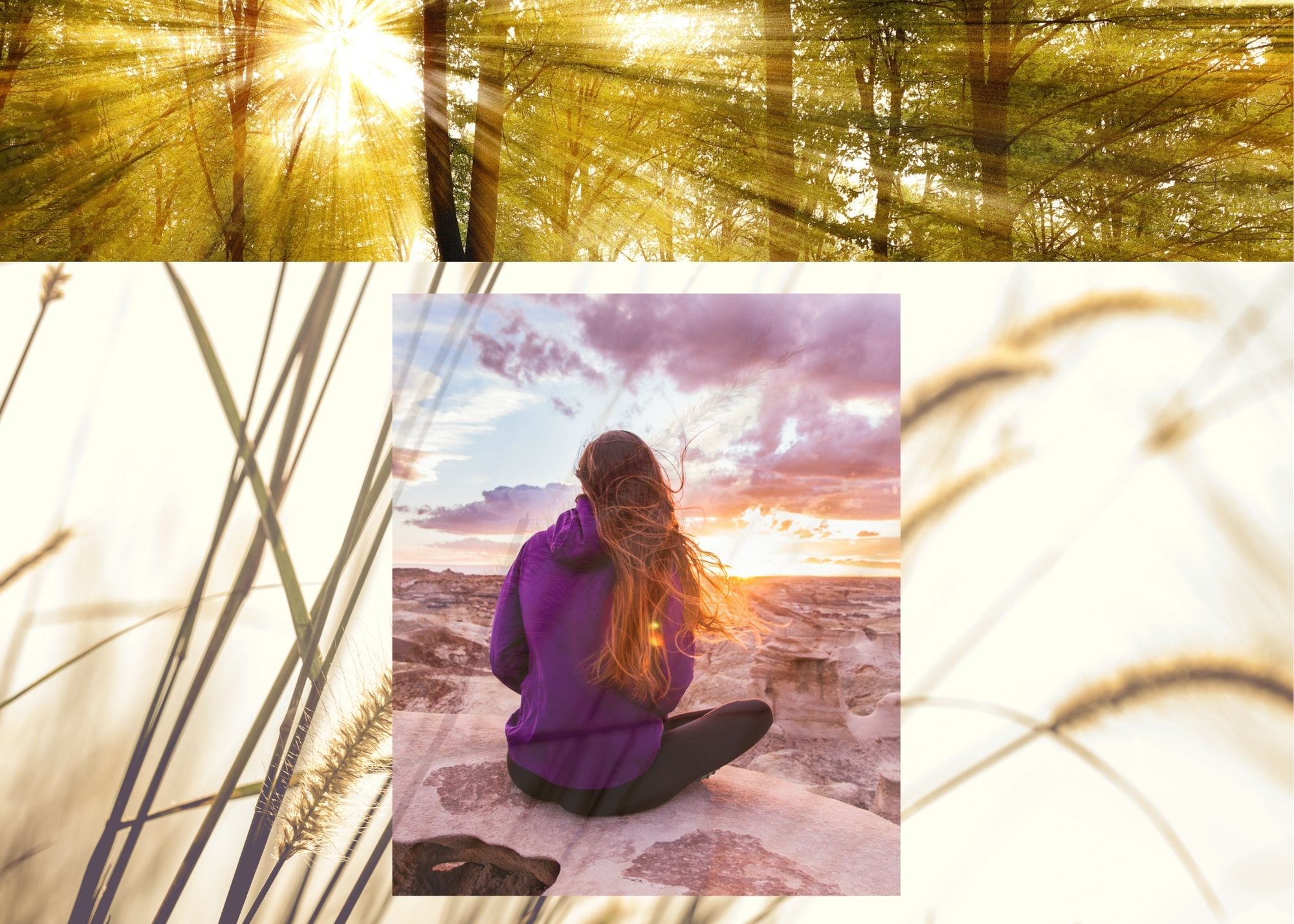 Intro to Ecotherapy Daylong - Restorative Relationships